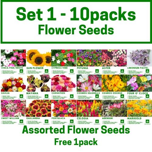 Assorted Flower Seeds Set 1-4 ( 10-40packs ) | Lazada PH
