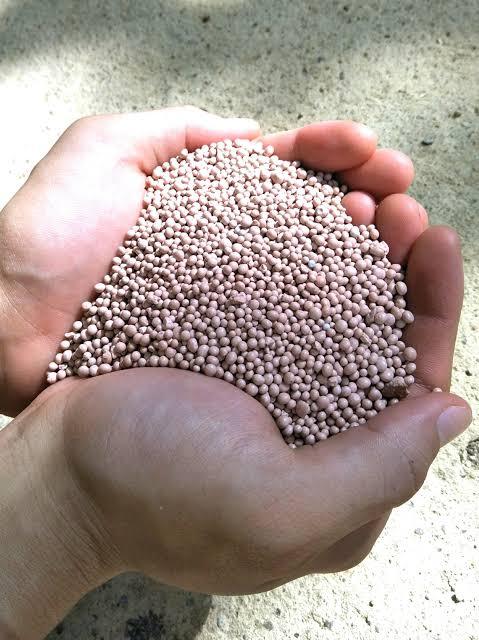 1 KILO 14-14-14 ATLAS COMPLETE FERTILIZER BRAND QUICK RELEASE - Your ...