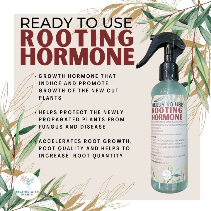 Ready To Use Rooting Hormone | Lazada PH