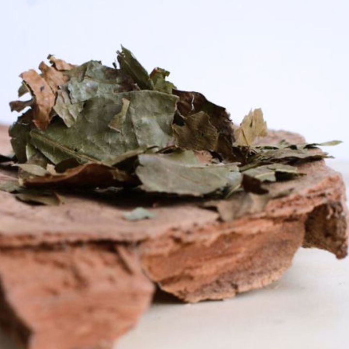 【LIMITED-RARE】Wild Amazonian Chacruna Dried Leaves Incense (Psychotria ...