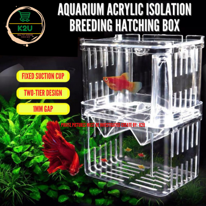 AQUARIUM Acrylic Isolation Breeding Hatching Box S/ M/ XL | Lazada