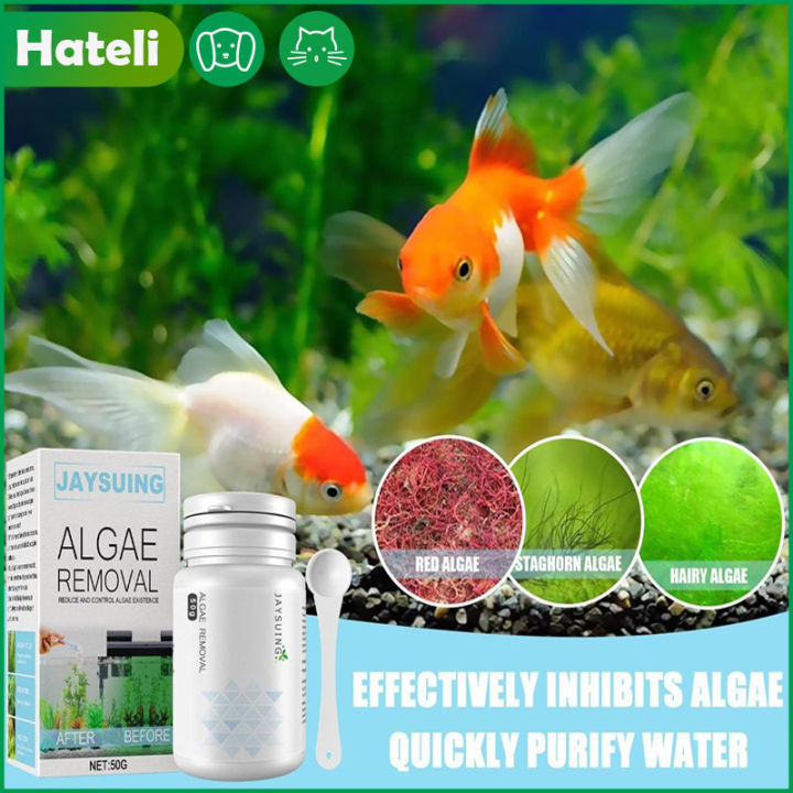 HATELI Algae Removal Aquarium Algae Cleaning Fish Tanks Moss Remover ...