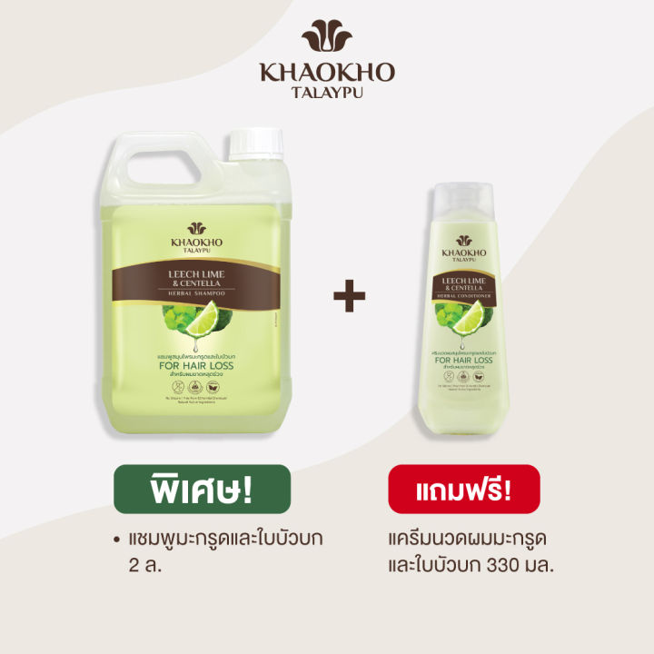 Khaokho Talaypu เขาค้อทะเลภู แชมพูแบบแกลลอน สูตรมะกรูดและใบบัวบก ลดผม ...