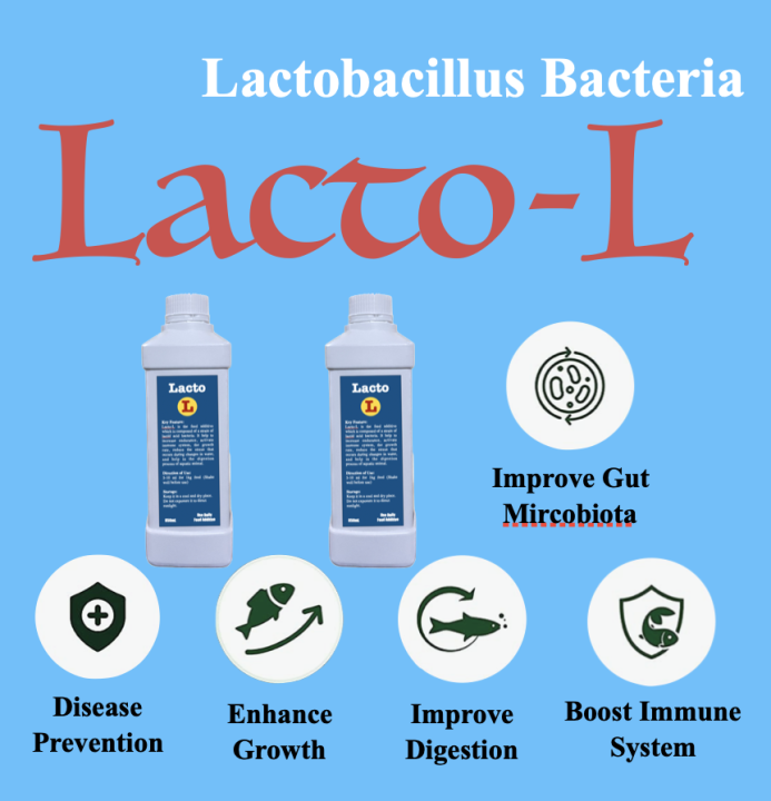 Lacto-L Lactic Acid Bacteria for Aquaculture Aquarium Fish Shrimp 850ml ...