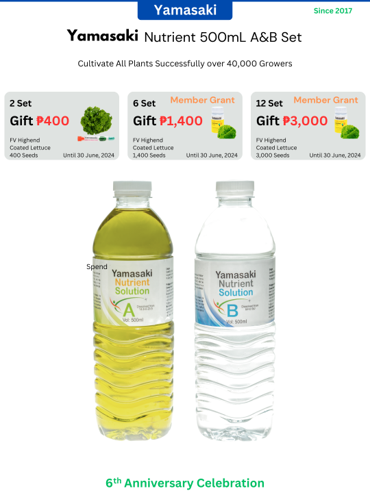 Yamasaki Hydroponic Solution 500mL A&B Set | hydroponic nutrient solution for hydroponics snap ...