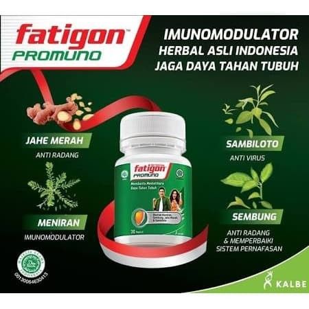 Fatigon Promuno Botol 30 Kapsul Multivitamin Daya Tahan Tubuh | Lazada ...