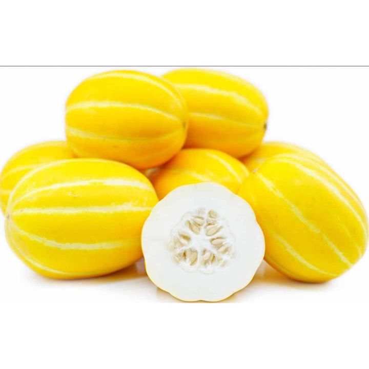 Korean Dragon Sweet Gold Melon Fruit Vegetable 50 seeds (not live ...