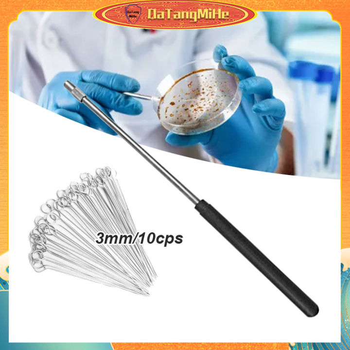 Jarum Ose Bulat 10PCS Holder Inoculation/Inokulasi Inokulum Kawat Ose ...