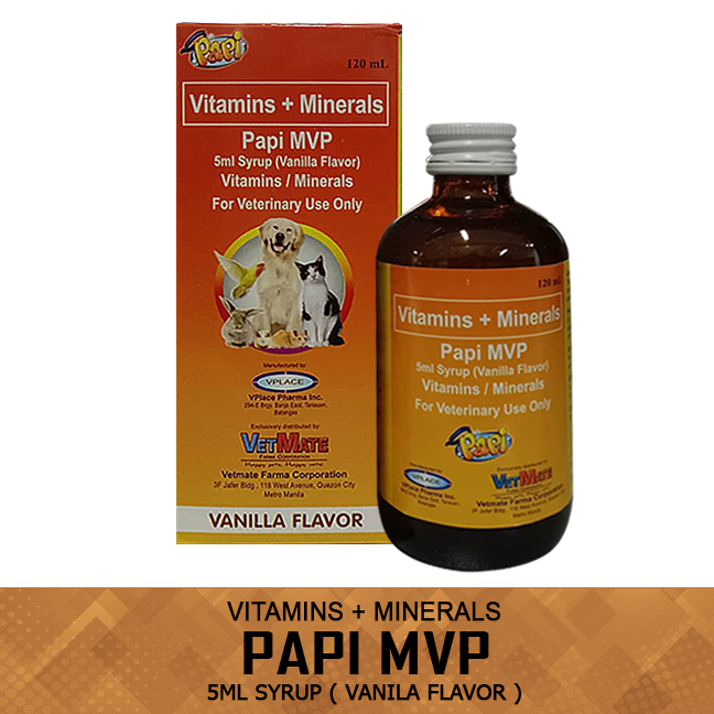 Papi Mvp Syrup Vitamins and Minerals Vanilla Flavor For Dogs, Cats ...