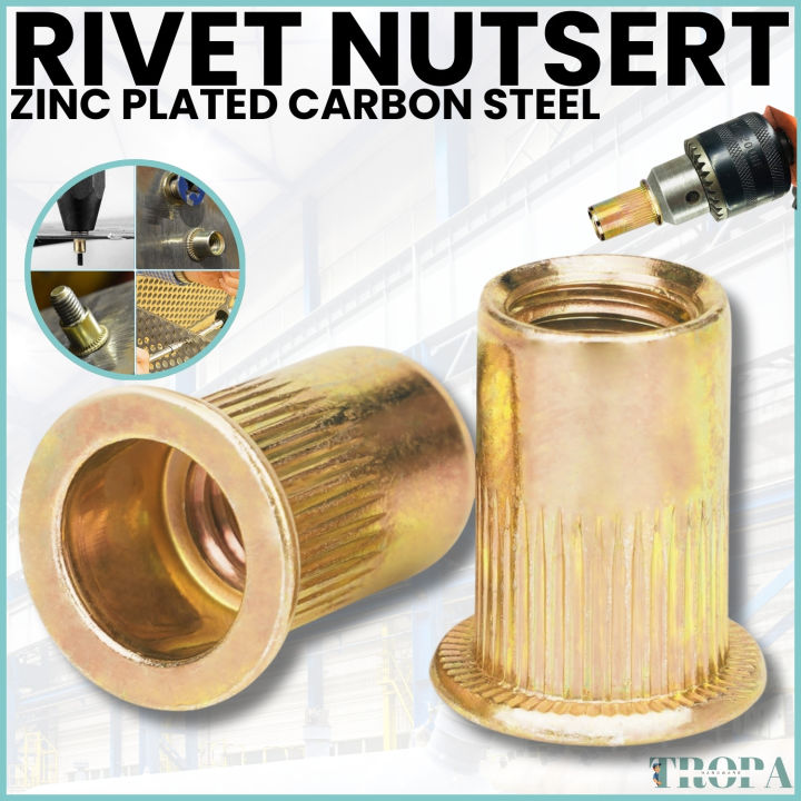 50PCS Zinc Plated Carbon Steel M6 M8 M10 Knurled Nuts Rivnut Flat Head Threaded Rivet Insert ...