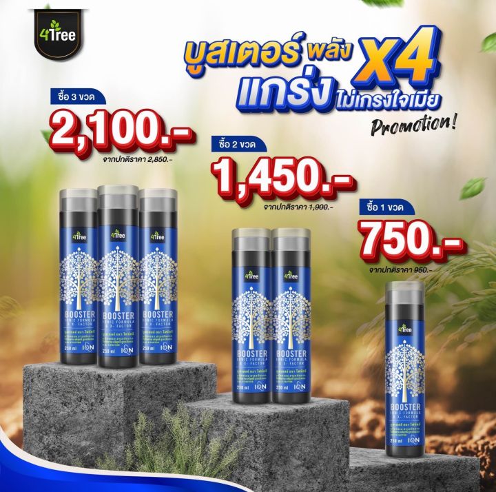 บูสเตอร์โฟร์ทรี (Booster4Tree) สินค้าของแท้ | Lazada.co.th