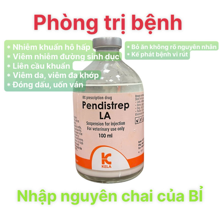 Pendistrep LA chai 100ml nhập Bỉ - Phòng trị nhiễm khuẩn hô hấp, tiêu ...