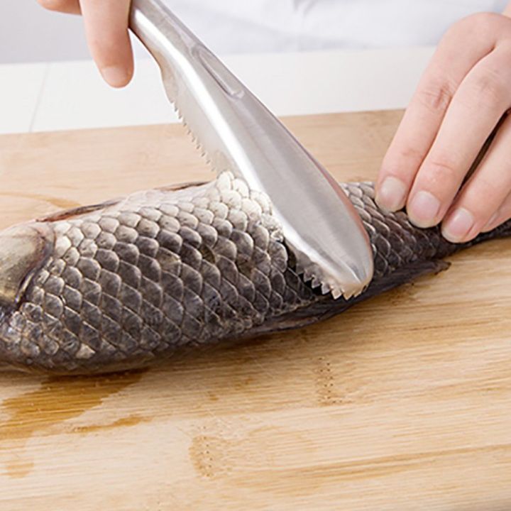 Stainless steel fish scale/blade/fish/scale fish | Lazada PH