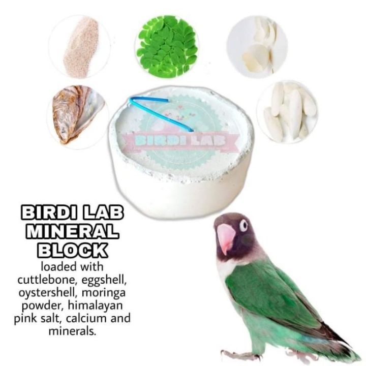 HOT ON SALE Birdi Lab Calcium Mineral block for bird | Lazada PH