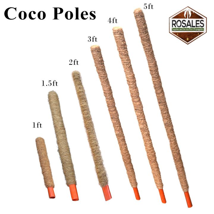 Coco Pole for plant (1 ft. - 5 ft.) Made of PVC, Coco Fiber, and Coco ...