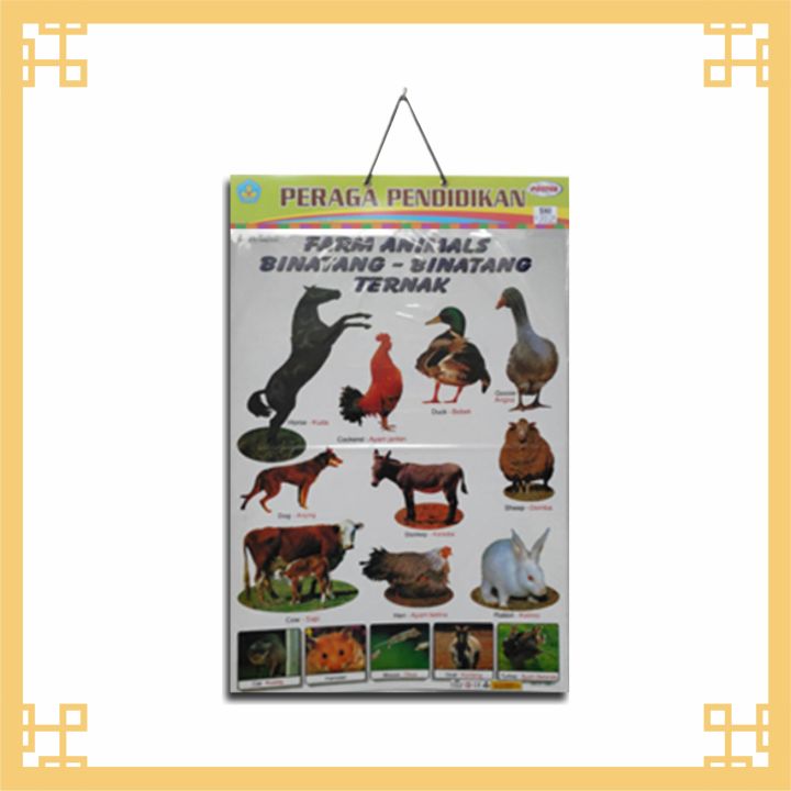 Poster Edukasi Anak - Poster Anak Farm Animals BInatang-Binatang Ternak ...