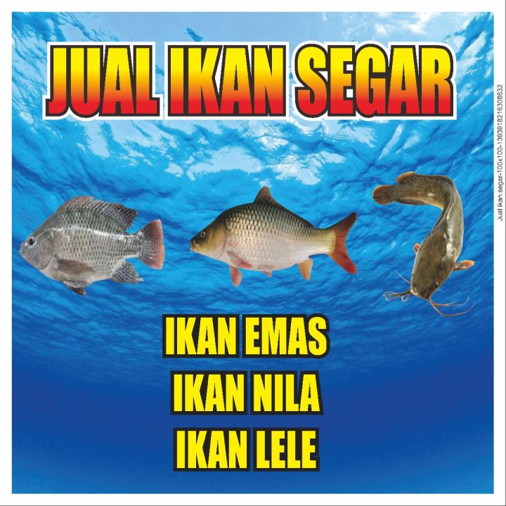 Spanduk jual ikan segar / Banner jual ikan segar / MMT gambar jual ikan ...