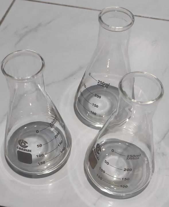 ERLENMEYER FLASK BOROSILICATE | Lazada PH