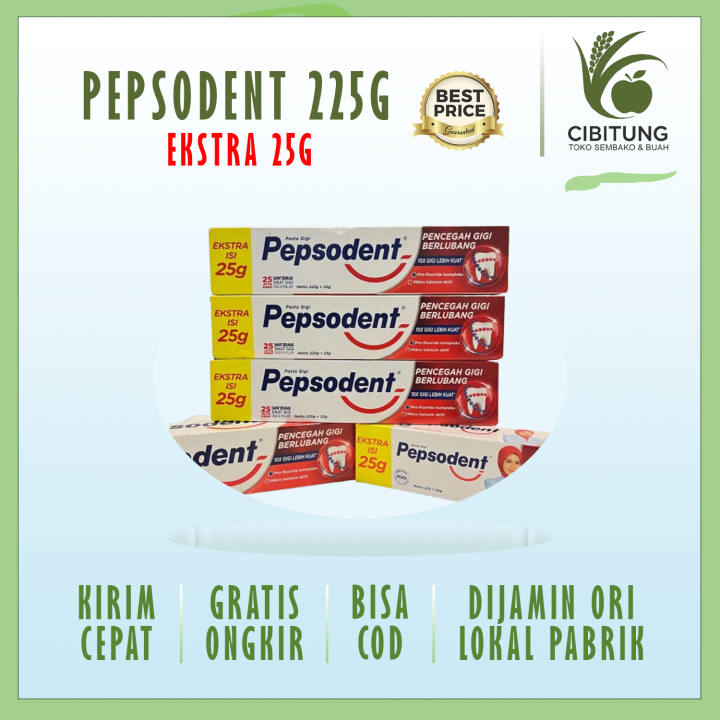 Pepsodent Whitening Plus Anti Rongga Multi-Pak 250g - Pasta Gigi ...