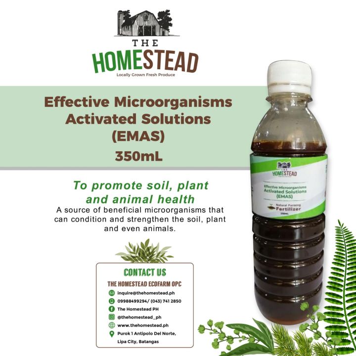 Natural Farming Fertilizer - Effective Microorganisms Activated ...
