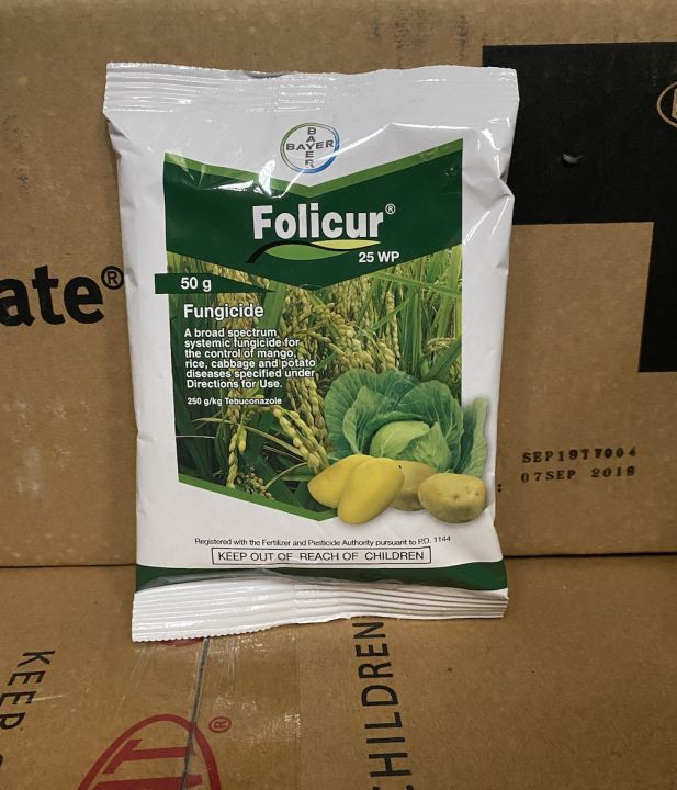 Folicur 50g systemic fungicide for plants | Lazada PH