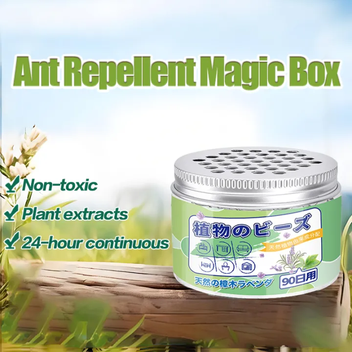 Ants repellent Safe & Non-toxic Combat ant killer pest repellent Plant ...