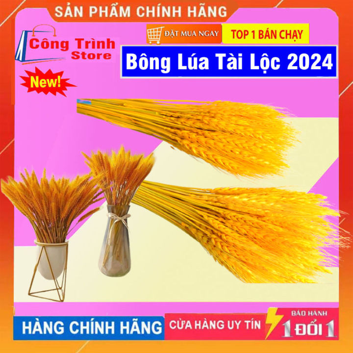 Bông Lúa Mạch Trang Trí, Bông Lúa Vàng Tài Lộc, Bó Lúa Mạch (Bó 100 ...