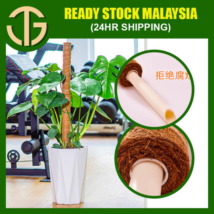 【FAST SHIPPING】30cm/40cm/50cm Extendable Coconut Fiber Coir Totem Pole ...