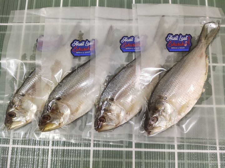 Ikan Terubuk Masin Sarawak (Dried Fish) | Lazada