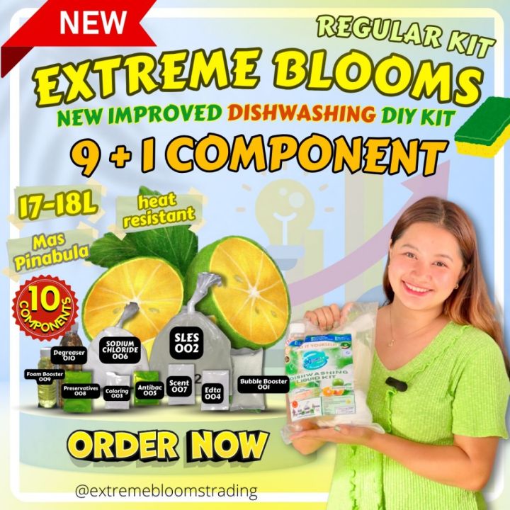Extreme DIY DISHWASHING LIQUID KIT - 17 liters Yield 9+1 components ...
