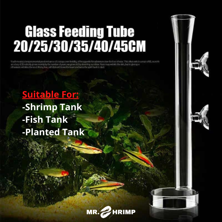 Aquarium Feeding Tube Shrimp Feeding Tube Dish Feeder Glass Feeding ...