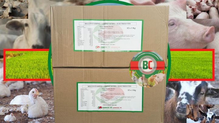 ESSENTIAL VET, MULTIVITAMINS + AMINO ACIDS + ELECTROLYTES[MVEAA]2BOXES ...