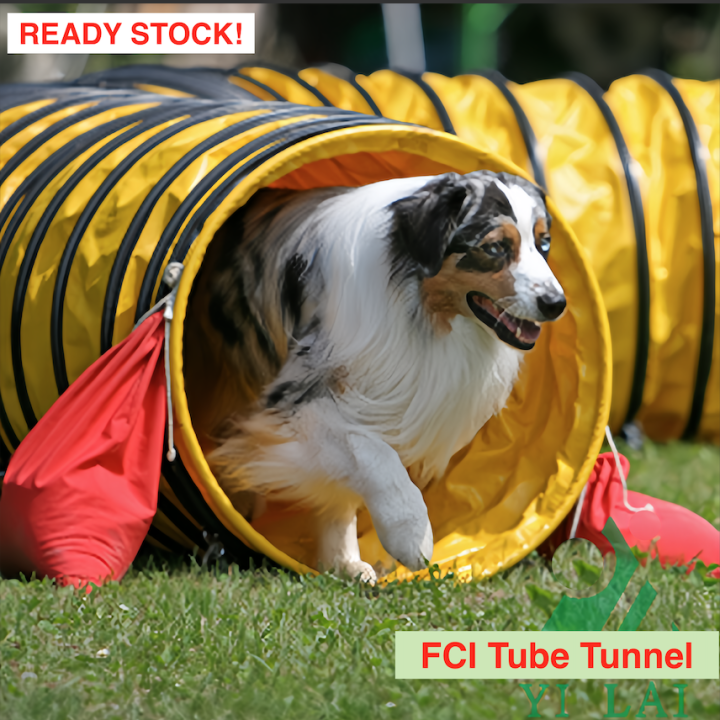 FCI Dog Tunnel Heavy Duty Competition Open Agility Tunnels | Lazada ...