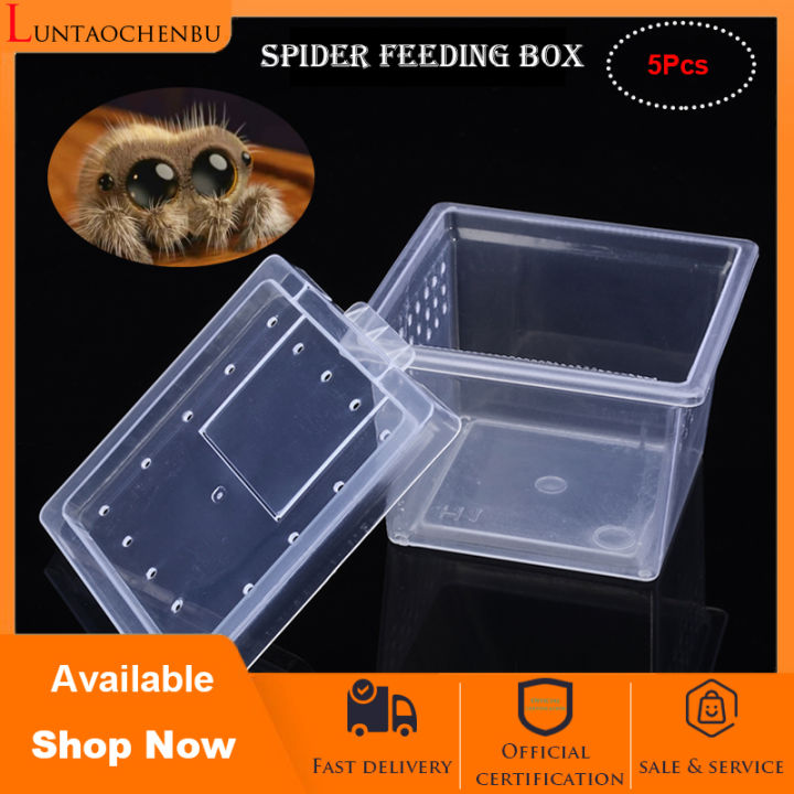 Tarantula enclosure Feeding Box Reptile Cage Hatching Container Rearing ...