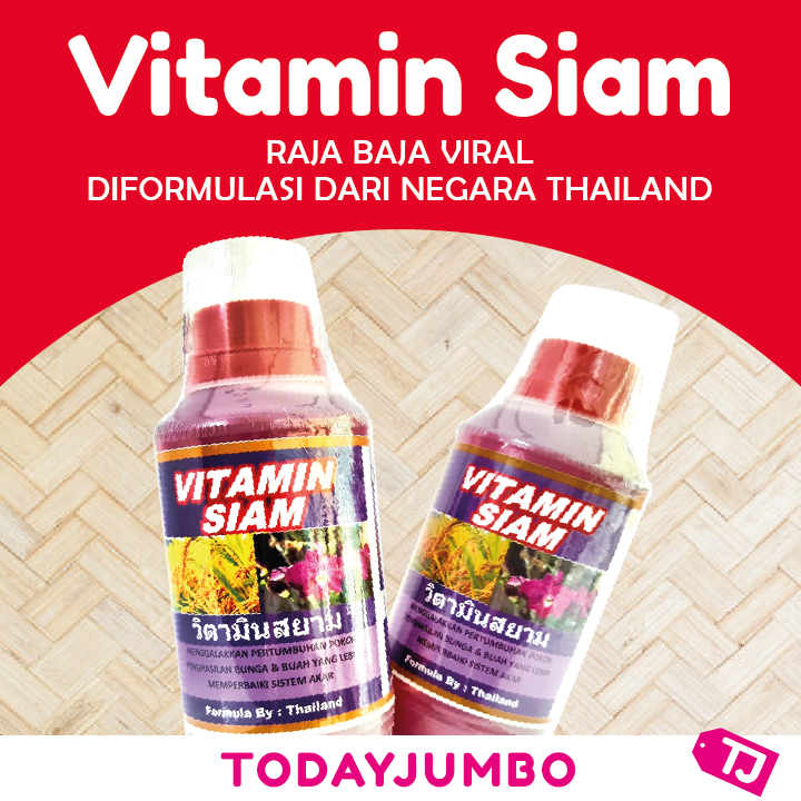 Super Vitamin Siam (500ml) PATI Raja Baja (formulated in Thailand) | Lazada