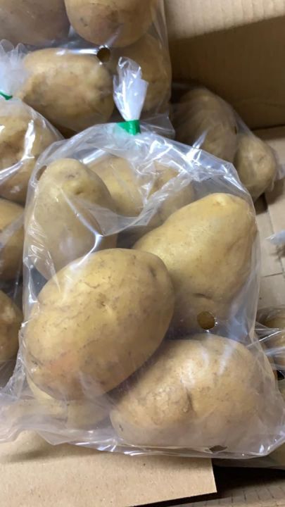 Indonesia potato 1pack (1kg) | Lazada
