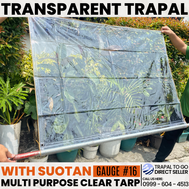 WITH ROPE! 8x8FT ROLL UP AND DOWN TRANSPARENT TRAPAL HEAVY DUTY GAUGE ...