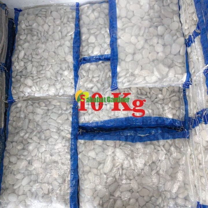 BATU KORAL PUTIH 1 KARUNG 10 KG | Lazada Indonesia