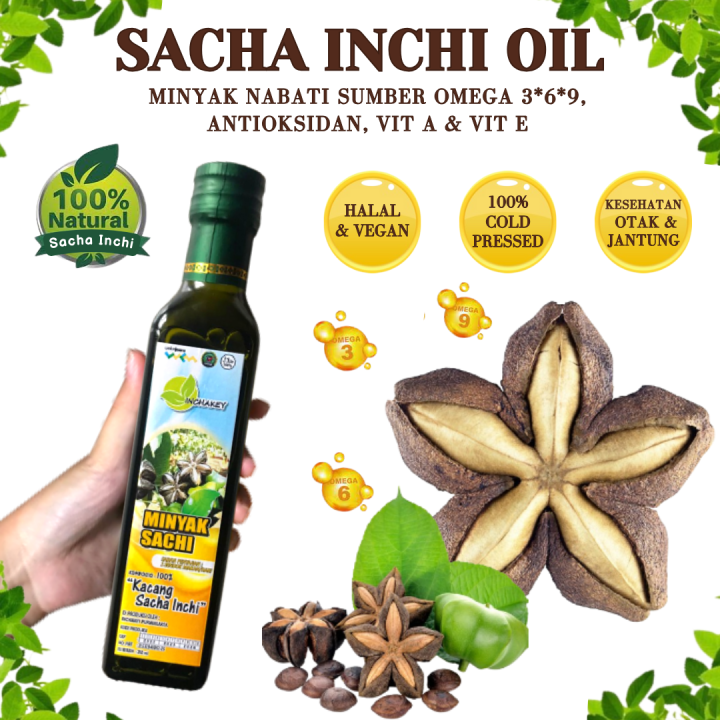 Minyak Kacang Sacha Inchi Murni Sachi Oil Asli Premium 250ml untuk ...
