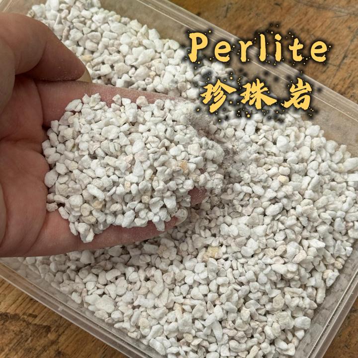 90s Green Plant Society Perlite Premium Grade PERFECT for potting soil ...