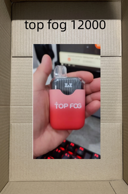 puff 12000 ON top fog HAND Carton T12 corrugated packaging Kraft Lowest ...