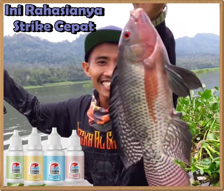 Umpan Mancing ikan mas dan ikan nila paling jitu Umpan pancing ikan lele ikan sungai bisa jga ...