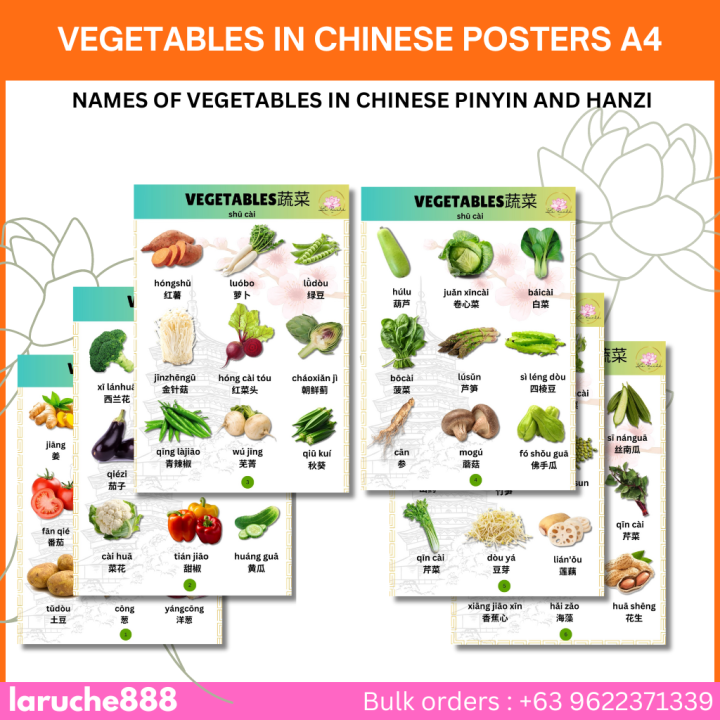 A4 POSTERS LEARN READING CHINESE WITH PINYIN AND CHINESE CHARACTERS ...