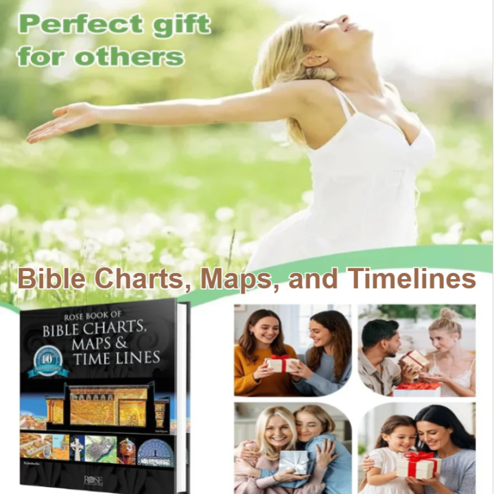 Laminated Educational Charts for Kids and Teachers: Bible Charts Maps And Timelines Guide Map ...