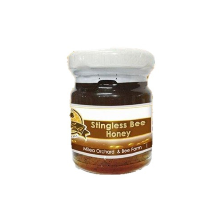 Milea Organic Rare Stingless Bee Lukot/Kiyot Medicinal Honey 60g ...