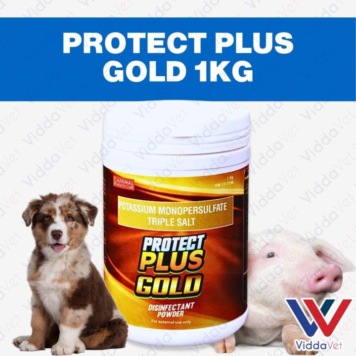 Protect Plus Gold 1KG D..is.i.n.f.e.ct.a..nt. .f.o.r Dairy Farms for ...