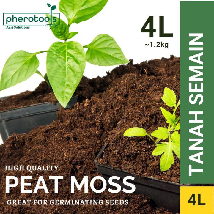 Pherotools PREMIUM PEAT MOSS (1L/4L) Fine Grade Tanah Semaian/Medium ...