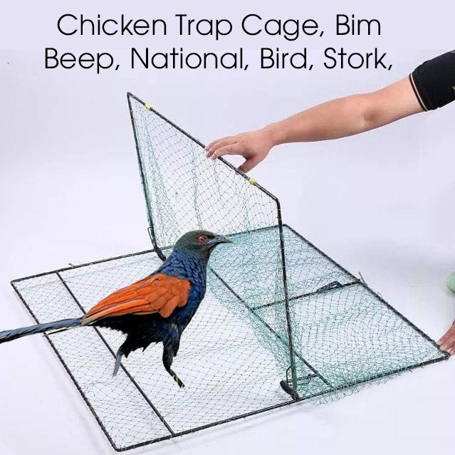 Chicken Traps, Bird Traps, Fishing Nest, Trapping Hunting Quail Cage ...