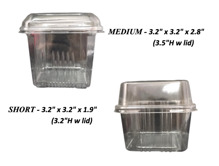 Square Deli Container with LID | Lazada PH