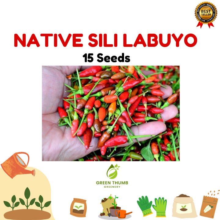 NATIVE SILI LABUYO-15SEEDS | Lazada PH